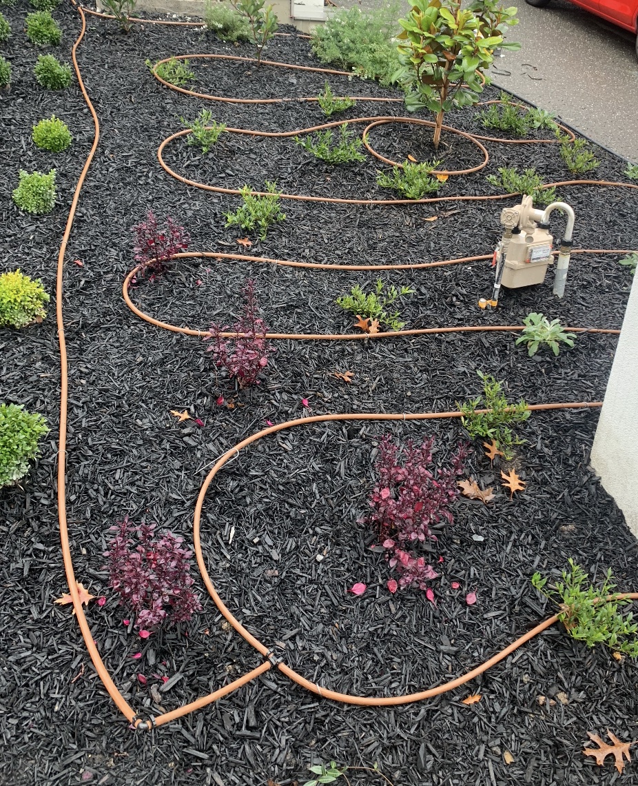 Landscape elements | rejuvenate landscape and design